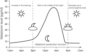 Chapter 11 – Color Temperature – Soft Lights Foundation